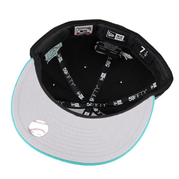 Ice Cube Collection – CapsuleHats